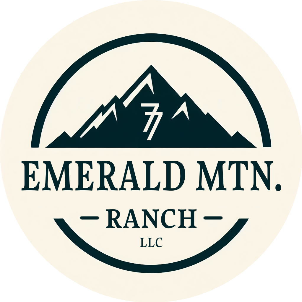 Turkish Boz Shepherd Dogs - Emerald Mtn Ranch, Colorado